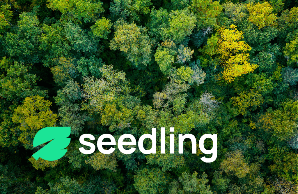 Our partnership with Seedling | Good Energy for Business