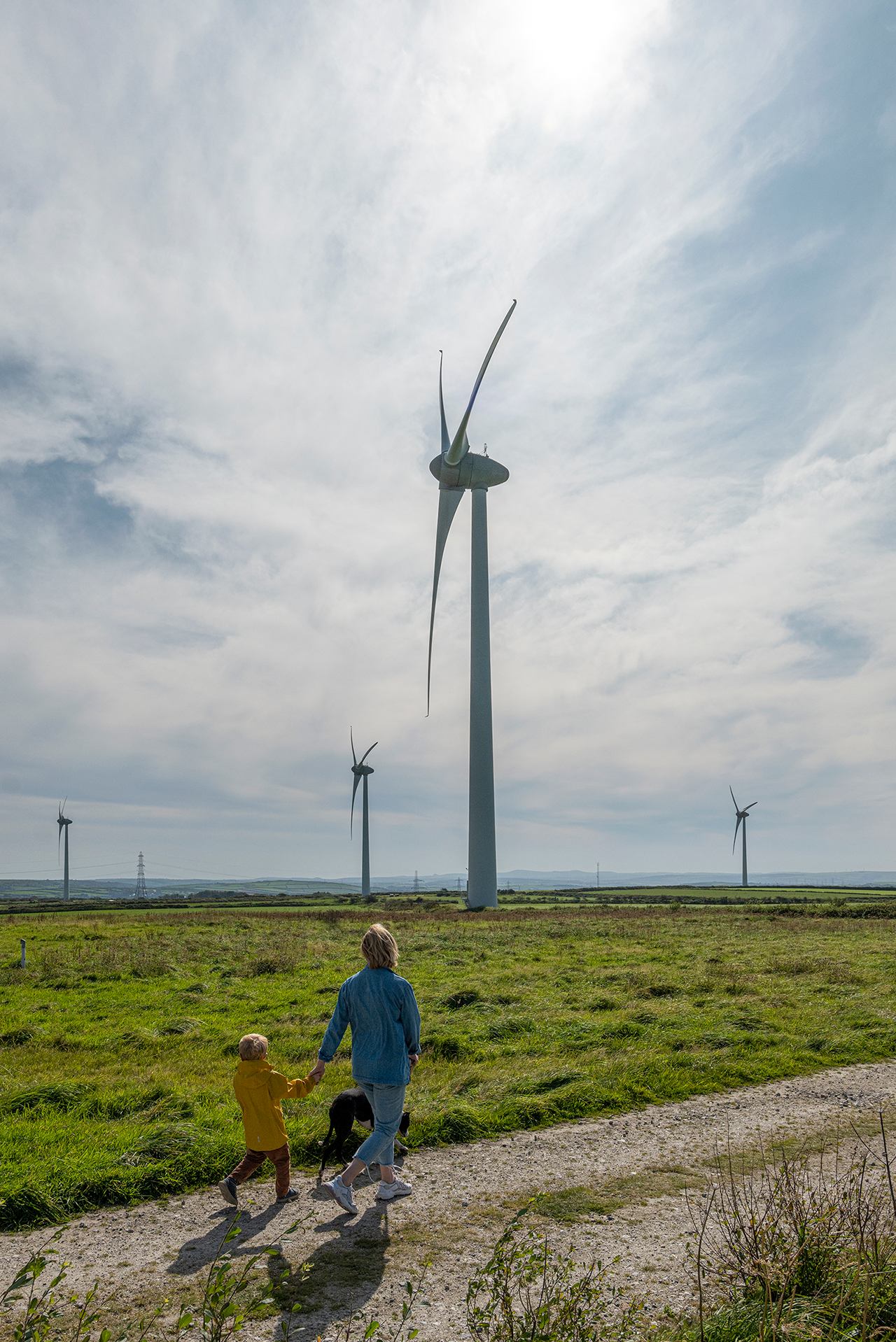 Good Energy tariffs | Good Energy